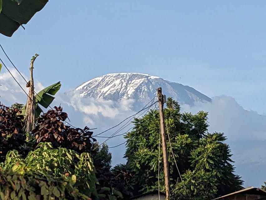 #1. Trek Kilimanjaro: 1-Day Marangu Route Experience | GetYourGuide