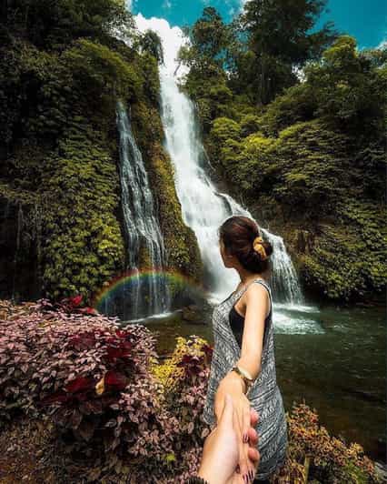 Ulundanu, Handara Gate, Jatiluwih & Banyumala Waterfall Tour | GetYourGuide
