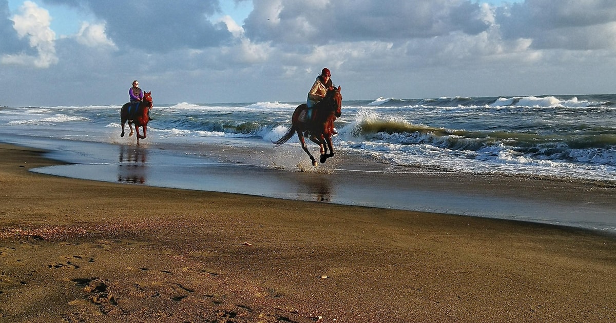 Paseo por la playa de Roma | GetYourGuide