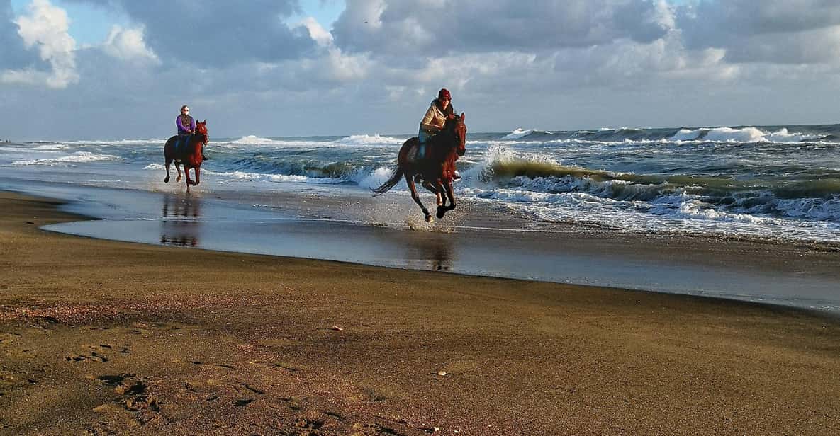 Roma a cavalo: a antiga Ostia e a praia com aperitivo | GetYourGuide
