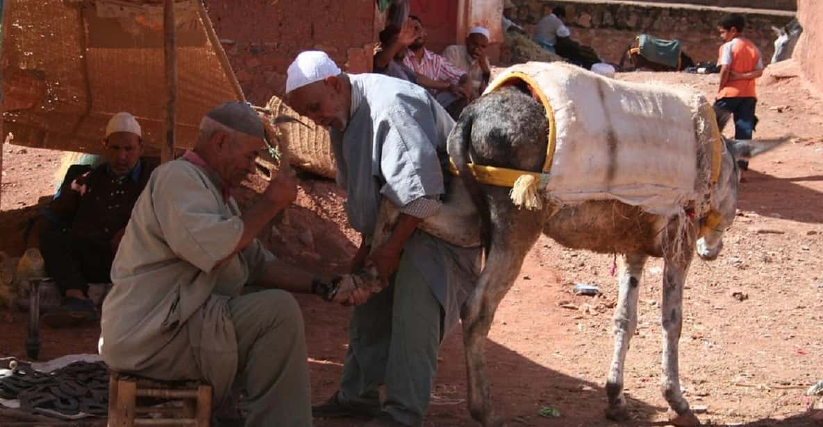 Pueblos bereberes de Ouirgan y Mina de Sal Excursión de un día desde ...