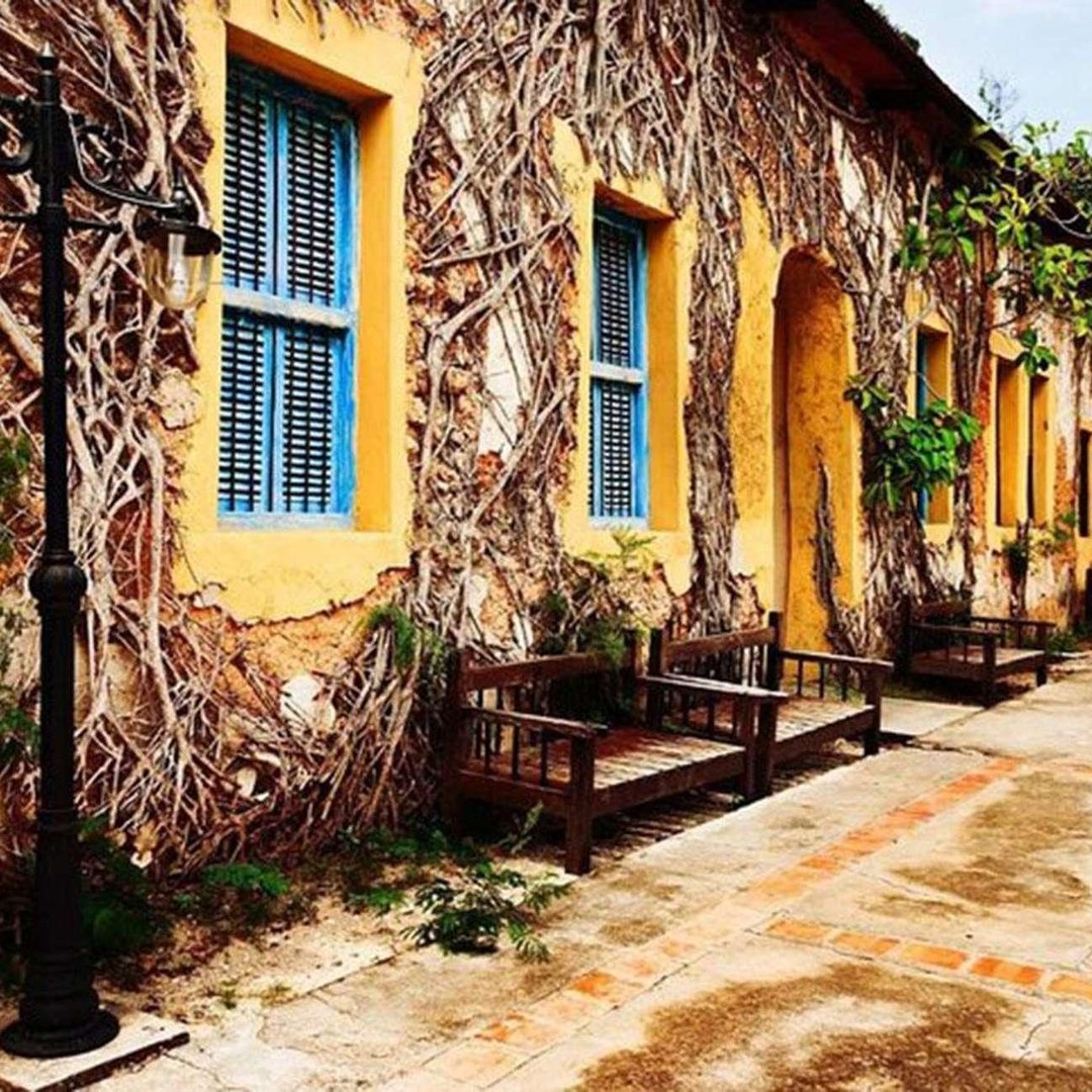 Zanzibar: Masingini Forest Guided Walking Tour | GetYourGuide