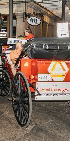 New Orleans: French Quarter Sightseeing Carriage Ride | GetYourGuide