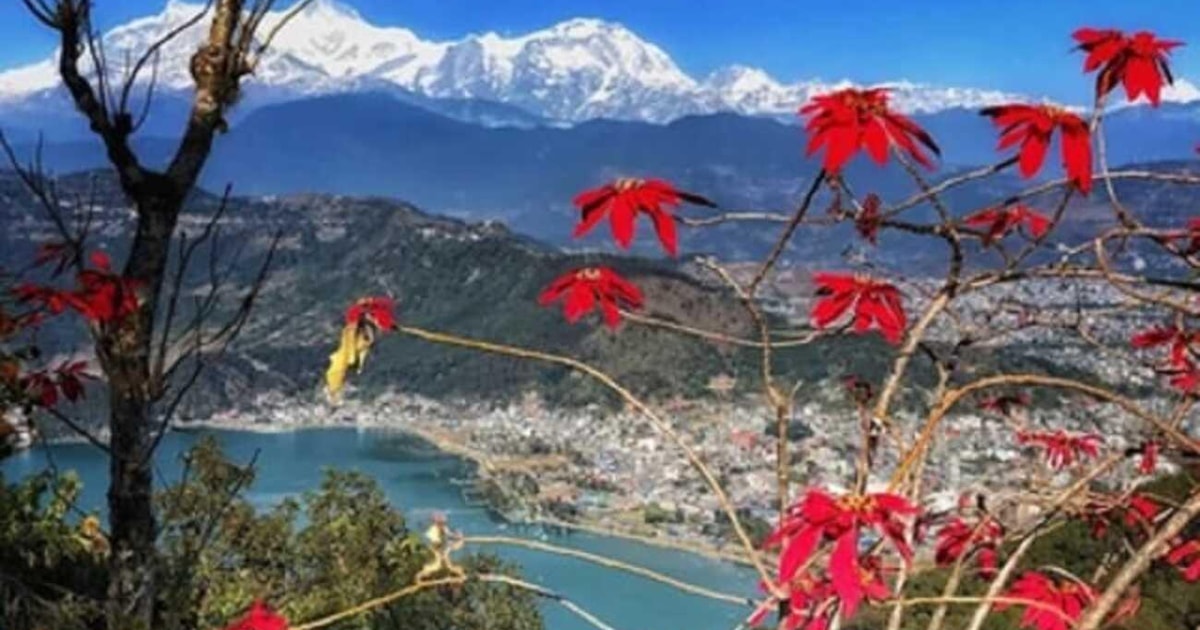 Pokhara : Excursion au lever du soleil à Sarangkot avec chauffeur ...