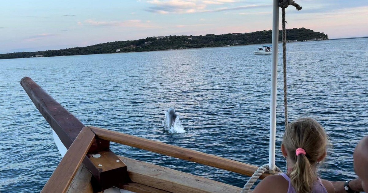 Pula: Excursión con delfines y puesta de sol con panorama de Brijuni ...