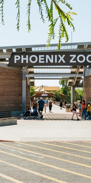 Phoenix Zoo: One Day General Admission Ticket | GetYourGuide