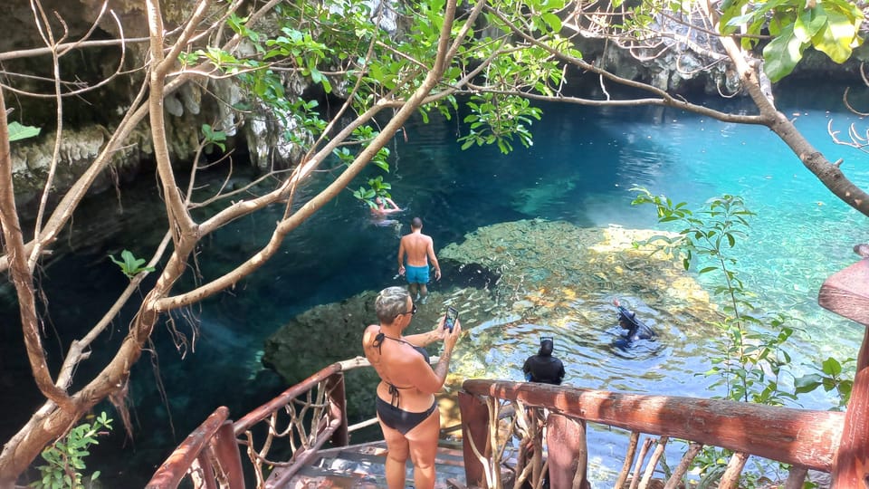 Jozani Monkey Forest & Malum Cave Swimming | GetYourGuide