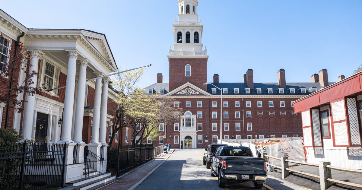 Boston: Visita de un día a Harvard, MIT y Cambridge | GetYourGuide