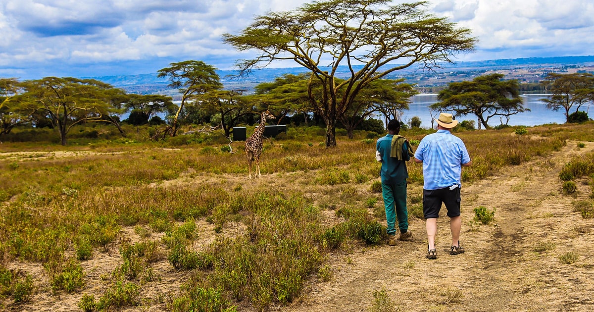 Crescent Island and Lake Naivasha: A Walking Safari | GetYourGuide