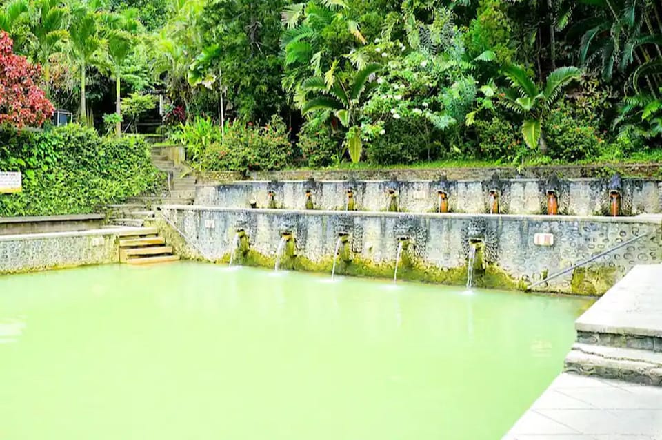North bali/Lovina: Natural hot spring & Dolphin sunrise tour | GetYourGuide