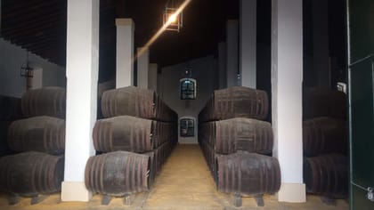 Jerez de la Frontera: Sherry Winery Tour with Tasting | GetYourGuide