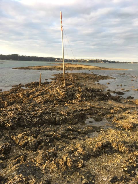 메올라 리프 | GetYourGuide