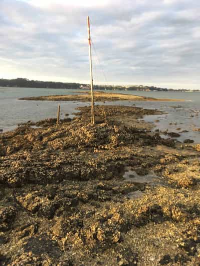 Meola Reef | GetYourGuide