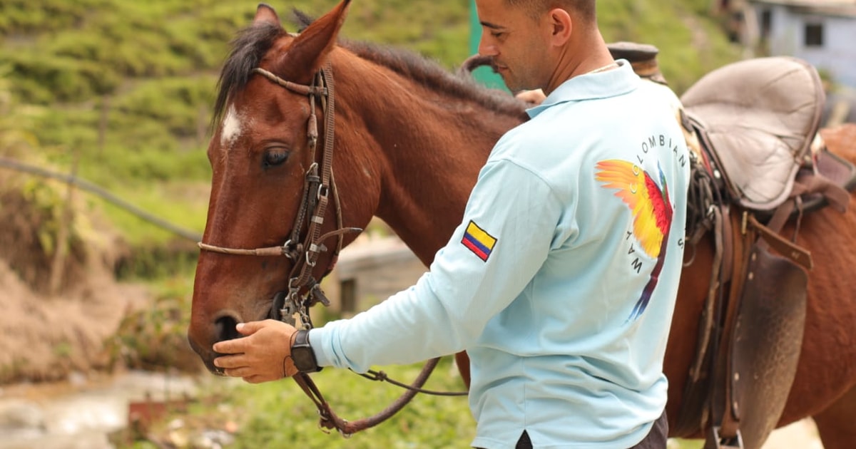Medellin: Horseback Riding in the Medellin Mountains | GetYourGuide