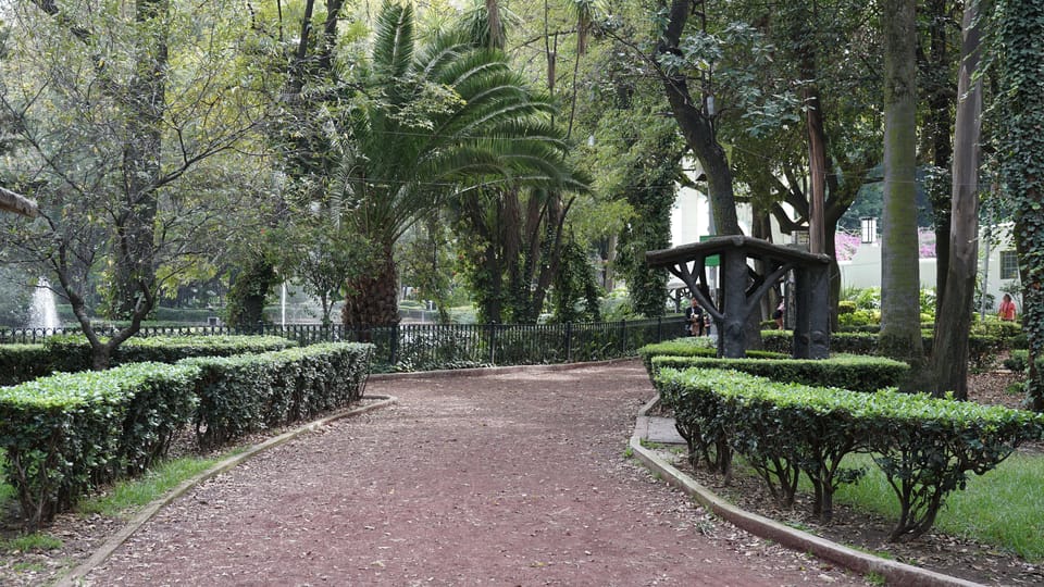 México City: Authentic Mexican food Colonia Roma | GetYourGuide