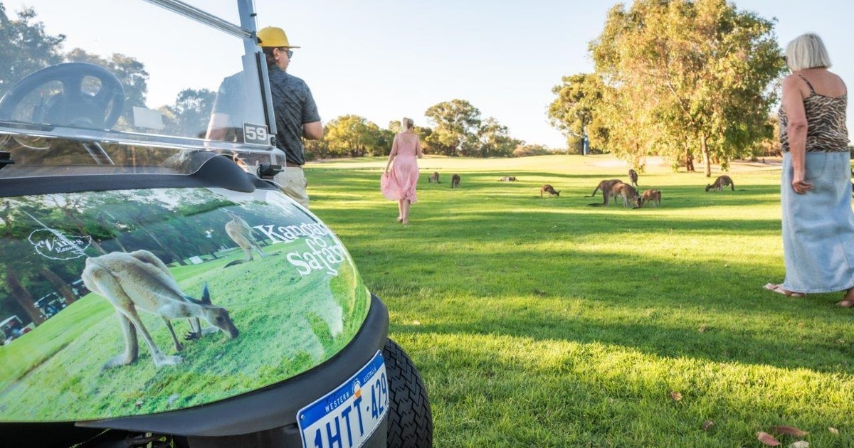 Swan Valley: Kangaroo Safari on Buggy | GetYourGuide