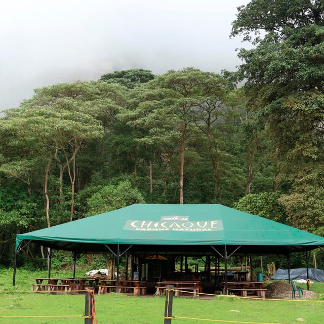 Excursión al Bosque Nublado de Chicaque | GetYourGuide