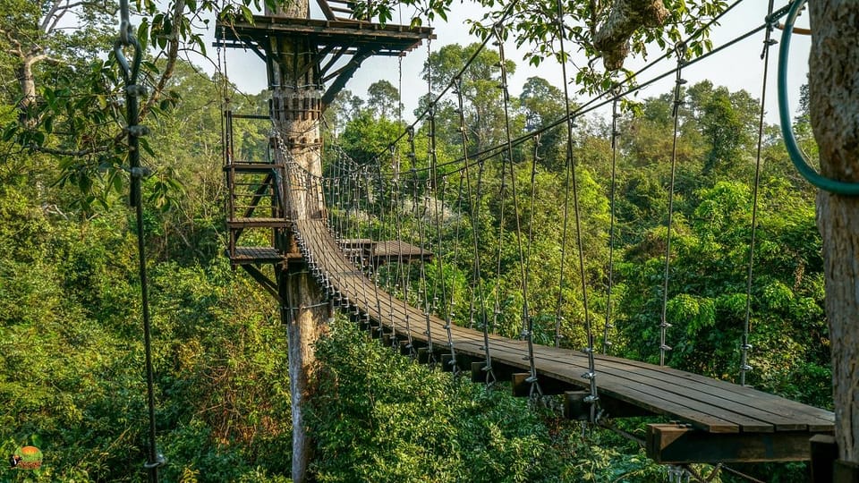 Angkor Zipline Eco-Adventure Canopy Tour & Pick up drop off | GetYourGuide