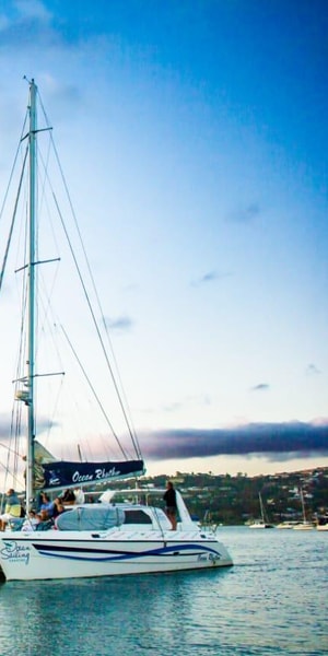 Knysna: Luxury Catamaran Marine Adventure Tour | GetYourGuide