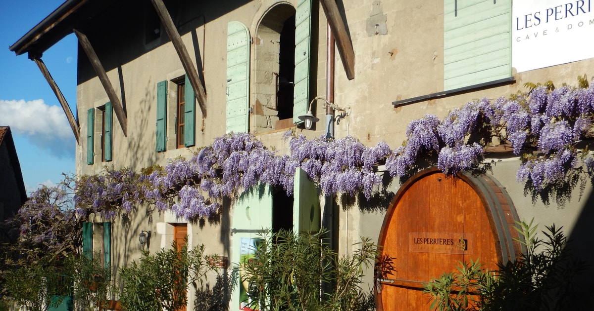 Geneva Countryside and Wine tasting By E-Bike | GetYourGuide