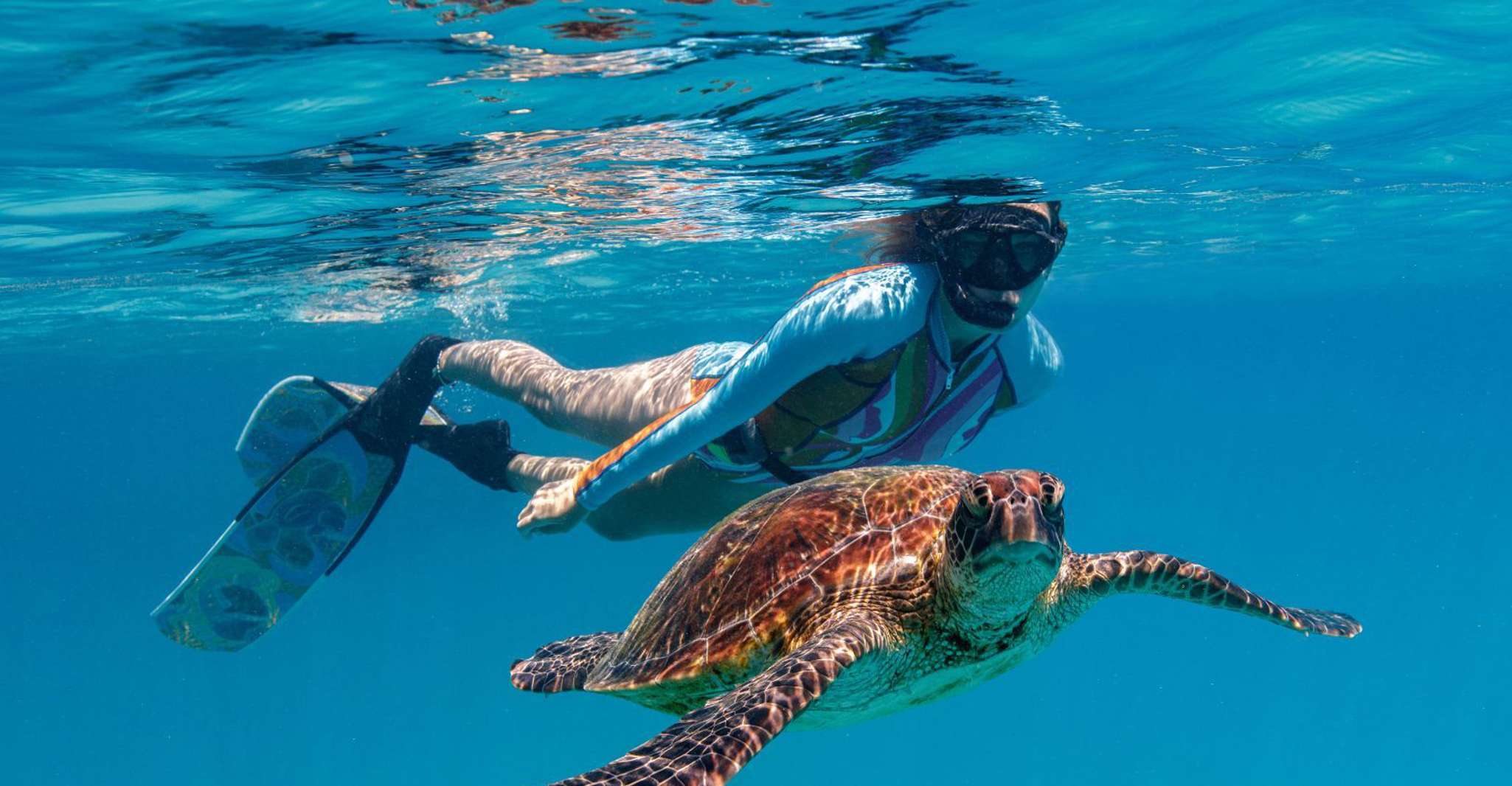 From Bundaberg, Barrier Reef & Lady Musgrave Island Day Tour | Water ...