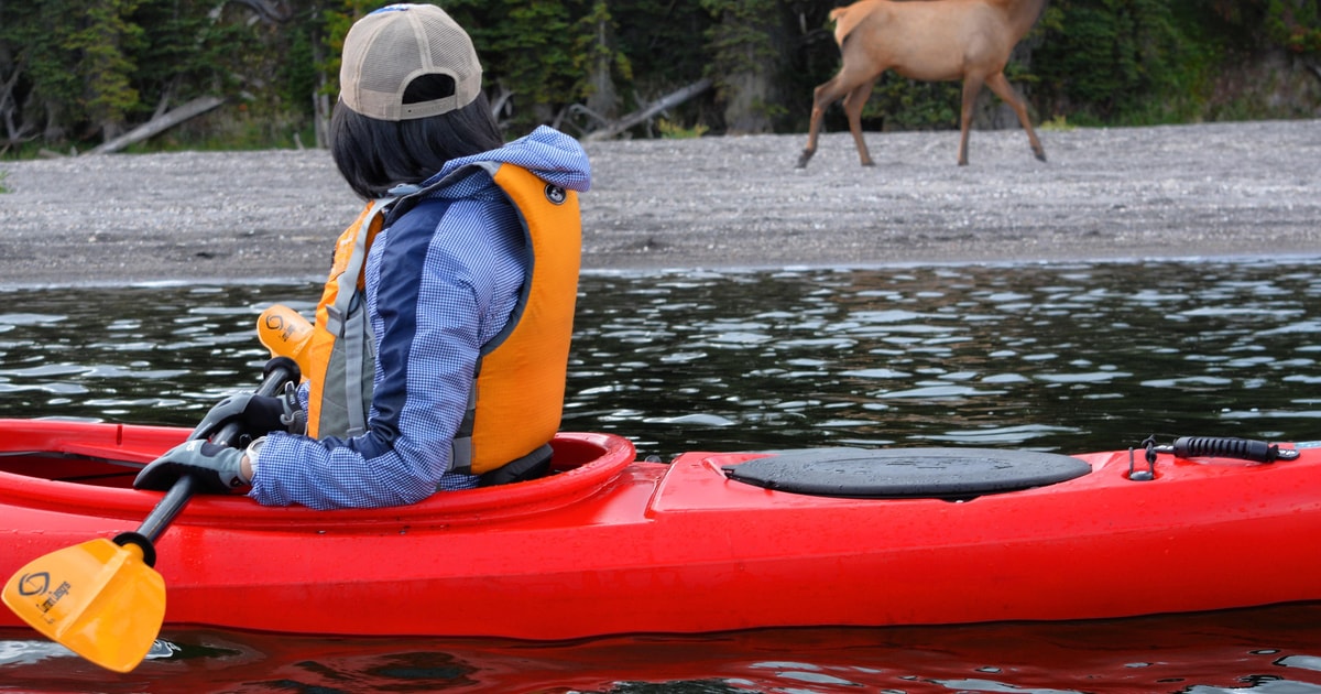 Yellowstone Lake Kayaking Adventure Among Thermal Features | GetYourGuide