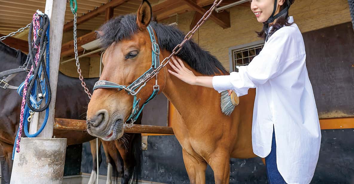 Horseback Riding Club to learn about connecting lives | GetYourGuide
