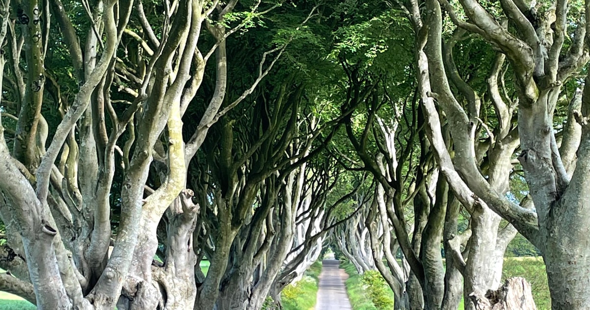 Belfast: Game Of Thrones und Giant's Causeway Private Tour | GetYourGuide