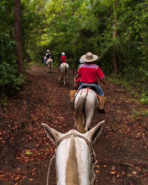 Horseback Riding to the Chorreas and Victoria Waterfalls | GetYourGuide