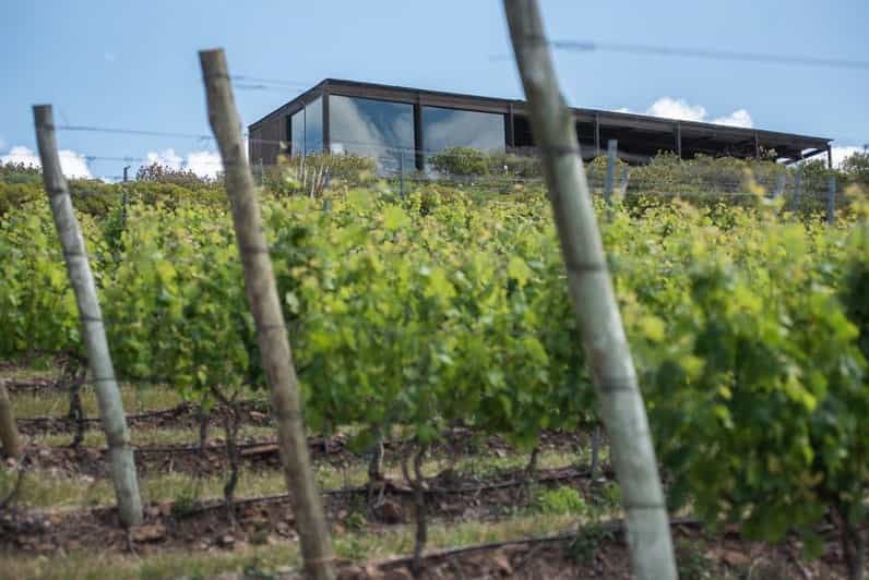 Punta del Este: Bodega Cerro del Toro winery tour and premium tasting ...