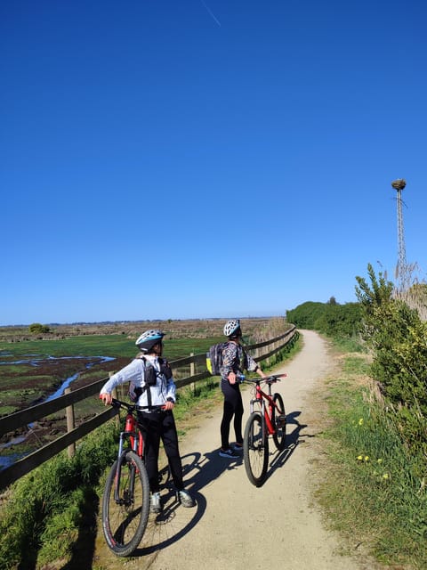 Aveiro: Tour Ria - Bike Adventure in Aveiro's Estuary | GetYourGuide