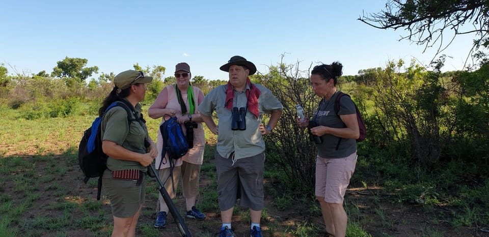 Day Trip Safari : Big 5 Walking Safari with Game drive | GetYourGuide