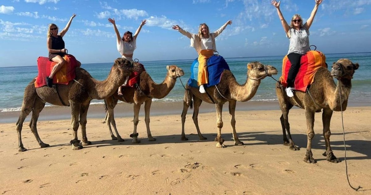 Tarifa naar Tanger: Dagtrip met veerboot & kamelenrit | GetYourGuide