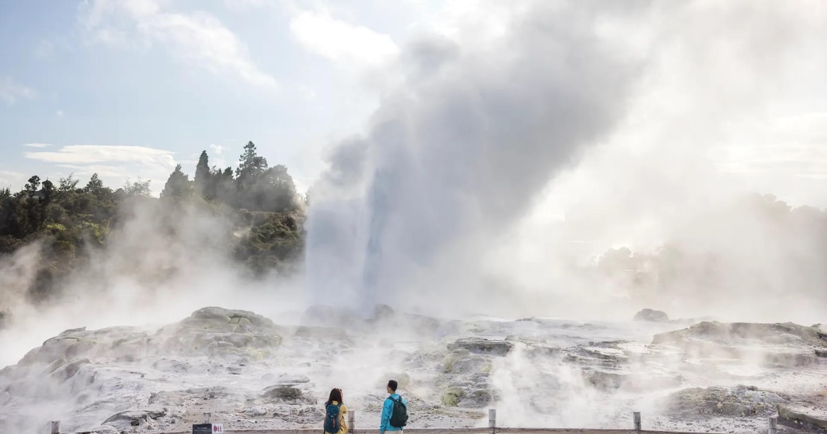 Auckland: TE PUIA Rotorua, Redwood & Blue Springs Day Tour | GetYourGuide