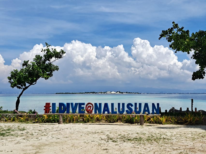 Cebu Nalusuan Island & Marine Sanctuary | Joiners Tour | GetYourGuide