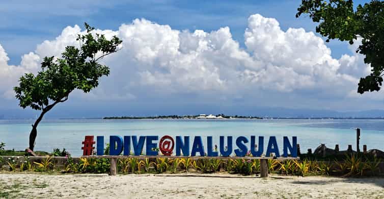Cebu Nalusuan Island & Marine Sanctuary | Joiners Tour | GetYourGuide
