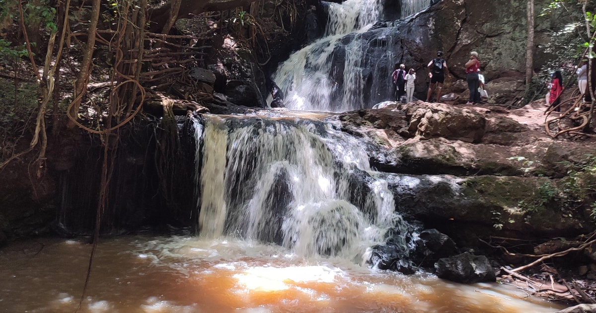 Karura Forest Biking Tour: A Memorable Experience! | GetYourGuide