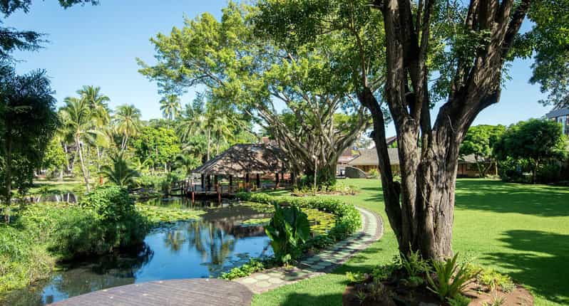 Papeete : walking tour | GetYourGuide