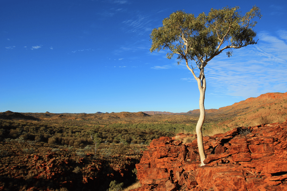 Outback Adventure: A Self-Guided Driving Tour | GetYourGuide
