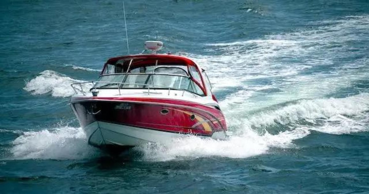 ⁠Speed Boat Ride in Bentota | GetYourGuide
