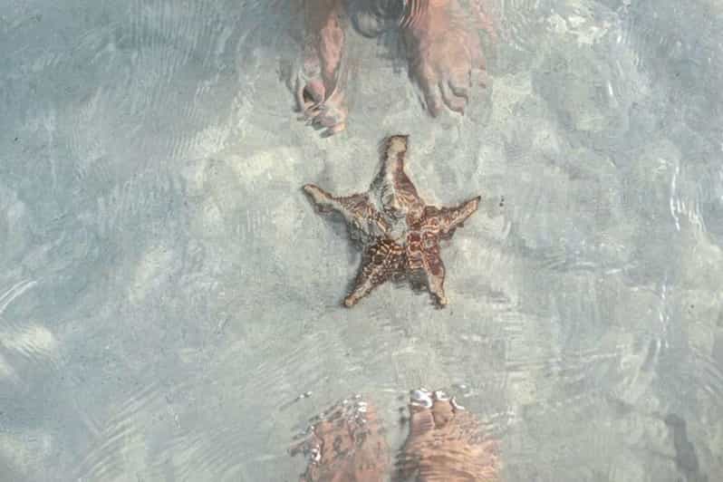 Grand Cayman: Stingray City, Starfish Point & Crystal Caves | GetYourGuide