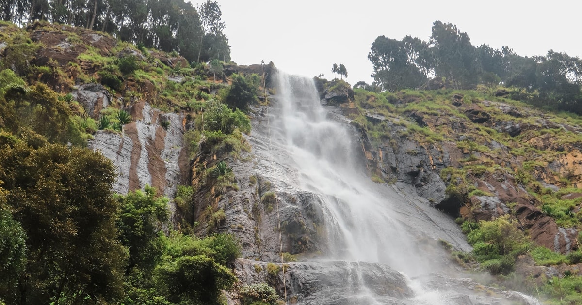 Aventure de descente en rappel de la cascade de Bambarakanda | GetYourGuide