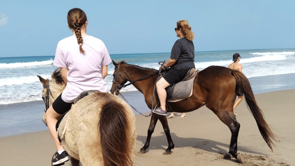 Bali: Seminyak Beach Horse Riding Experience | GetYourGuide