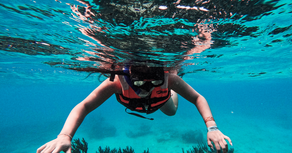 Tulum: Snorkling vid Paradise Reef | GetYourGuide