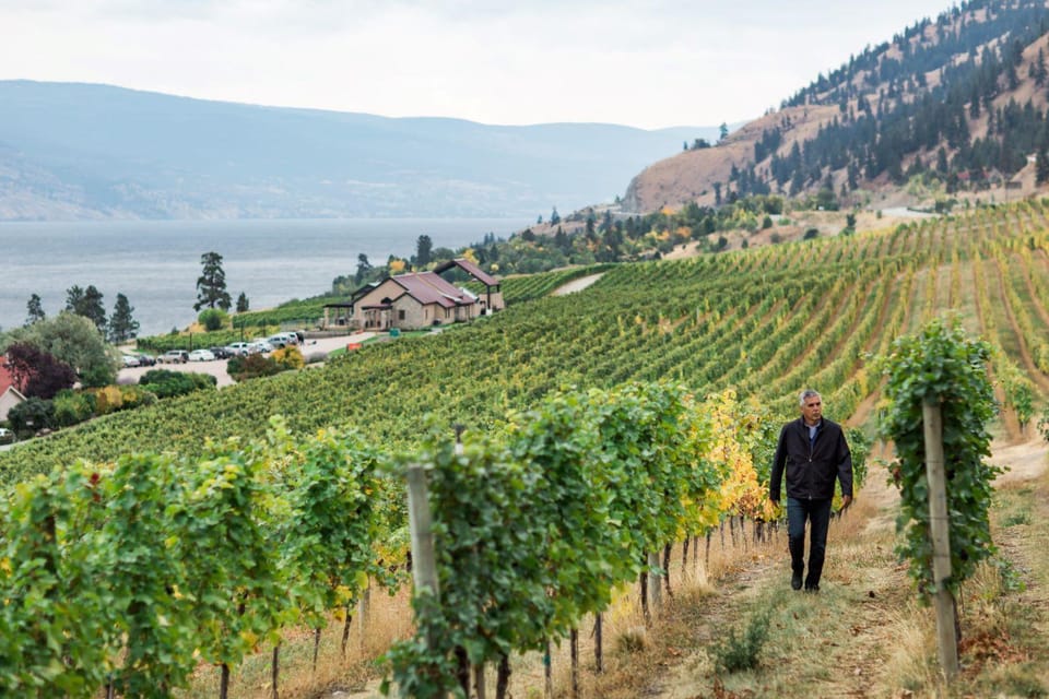 Penticton Wineries Tour | GetYourGuide