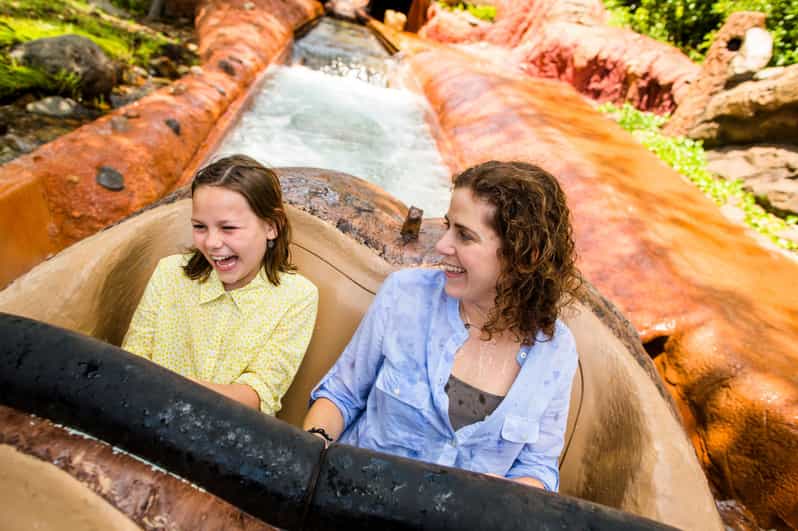 Orlando: Walt Disney World Tickets with Park Hopper | GetYourGuide