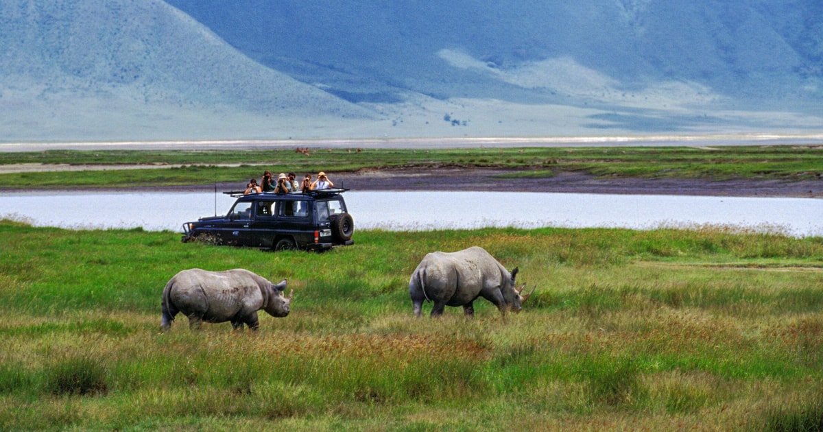Arusha: 4-daagse privé-safari in het middensegment naar de ...