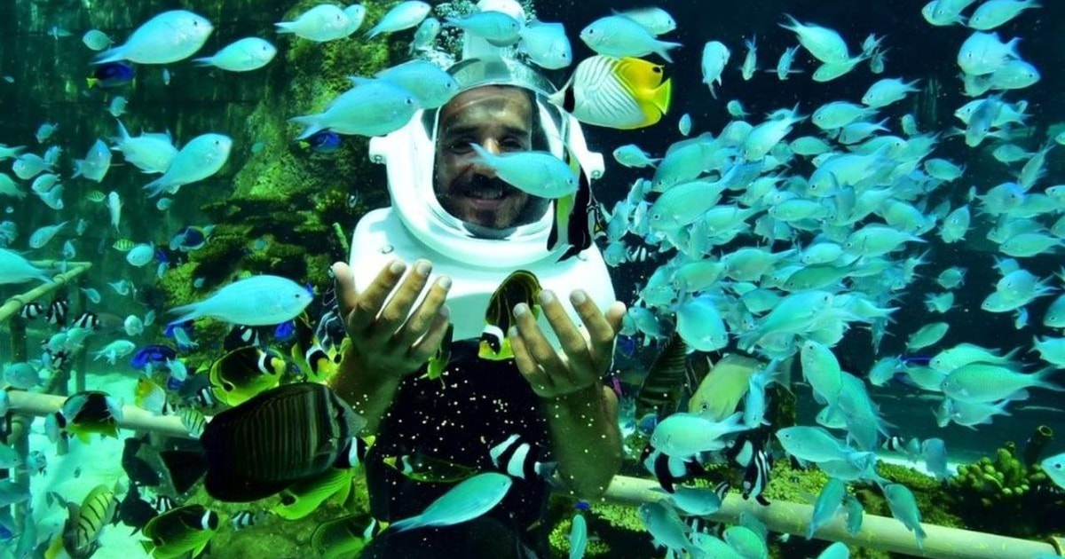 Bali: Sea Walker Under Water Experience Nusa Dua Watersport | GetYourGuide