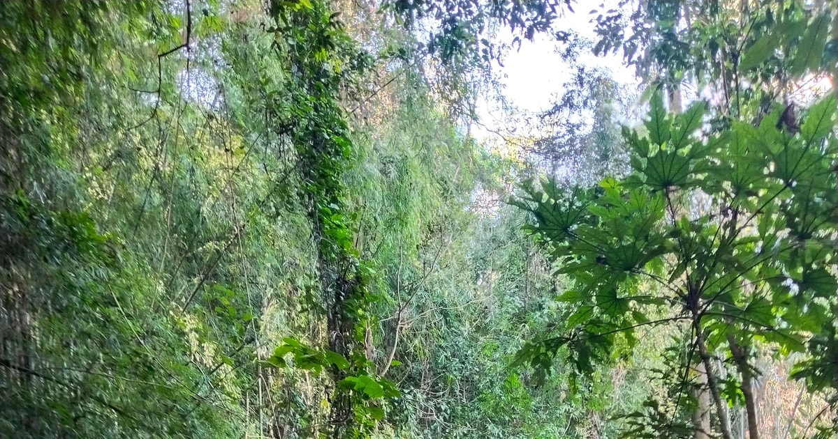 Adventure Hike in Doi Suthep-Pui National Park | GetYourGuide