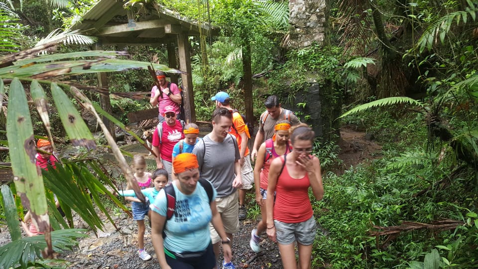 Rainforest Adventure and Beach | GetYourGuide